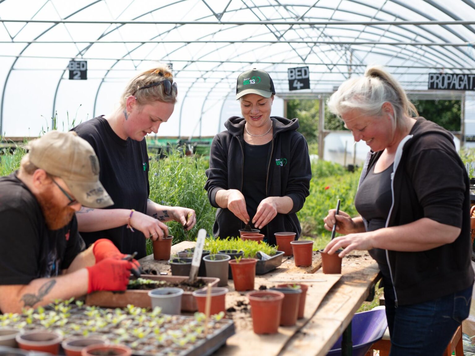 Home - Hartcliffe City Farm